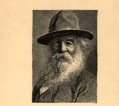 The Race of Races - Apocrypha