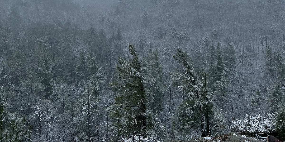 Radical Generosity - by Courtney Bierschbach