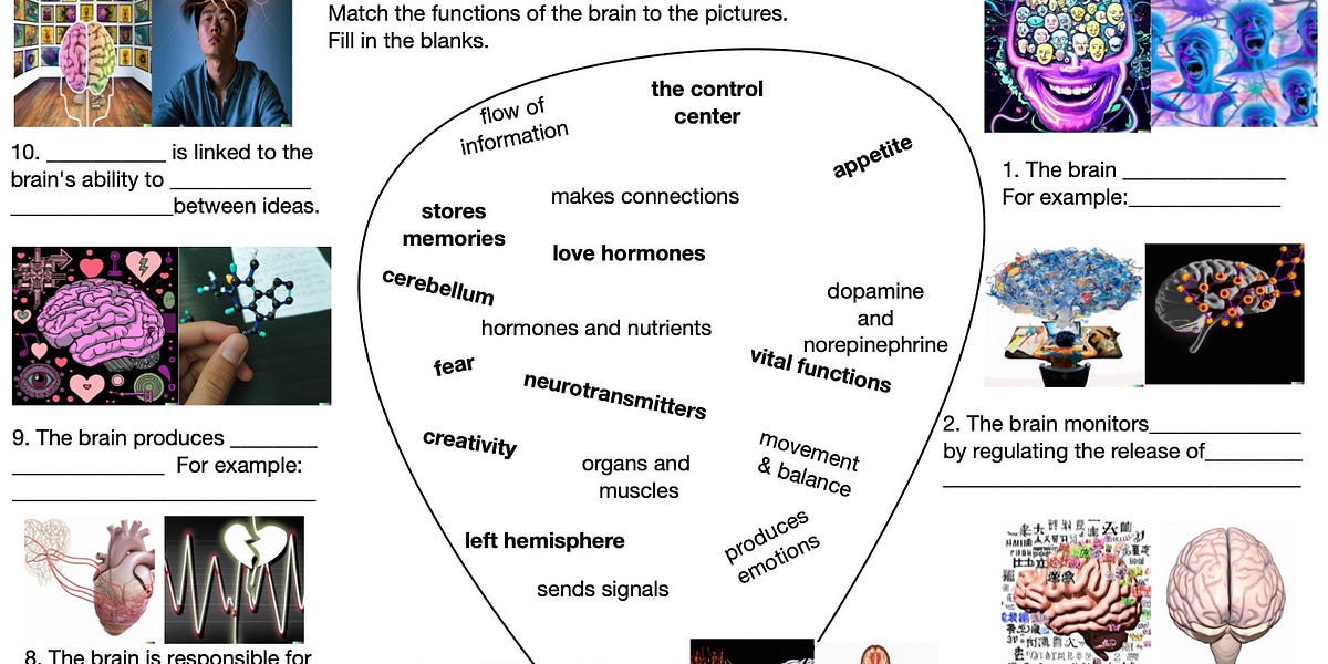 Functions of the brain (updated) - by Peter Snashall