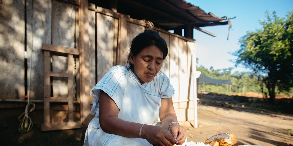 Regenerating the Heart - eco-nnect