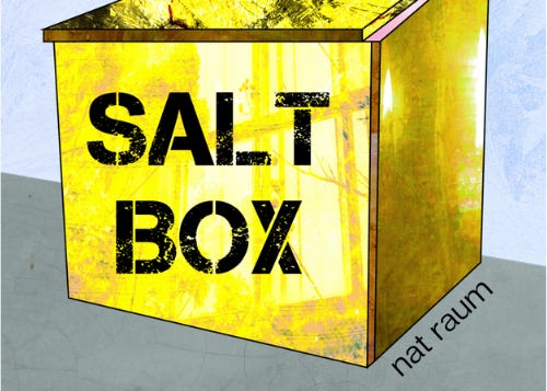 salt box - the pool