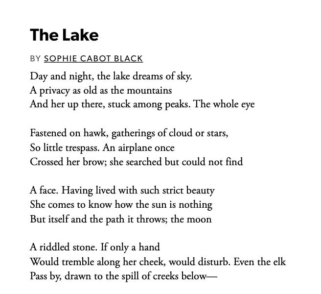 Sturgeon Moon: Poems - by Maya C. Popa - Poetry Today