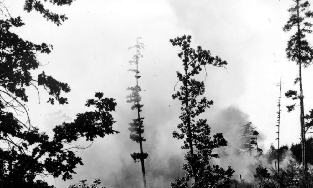 The Langford Lake Fire, 1960 - by Sue Harper
