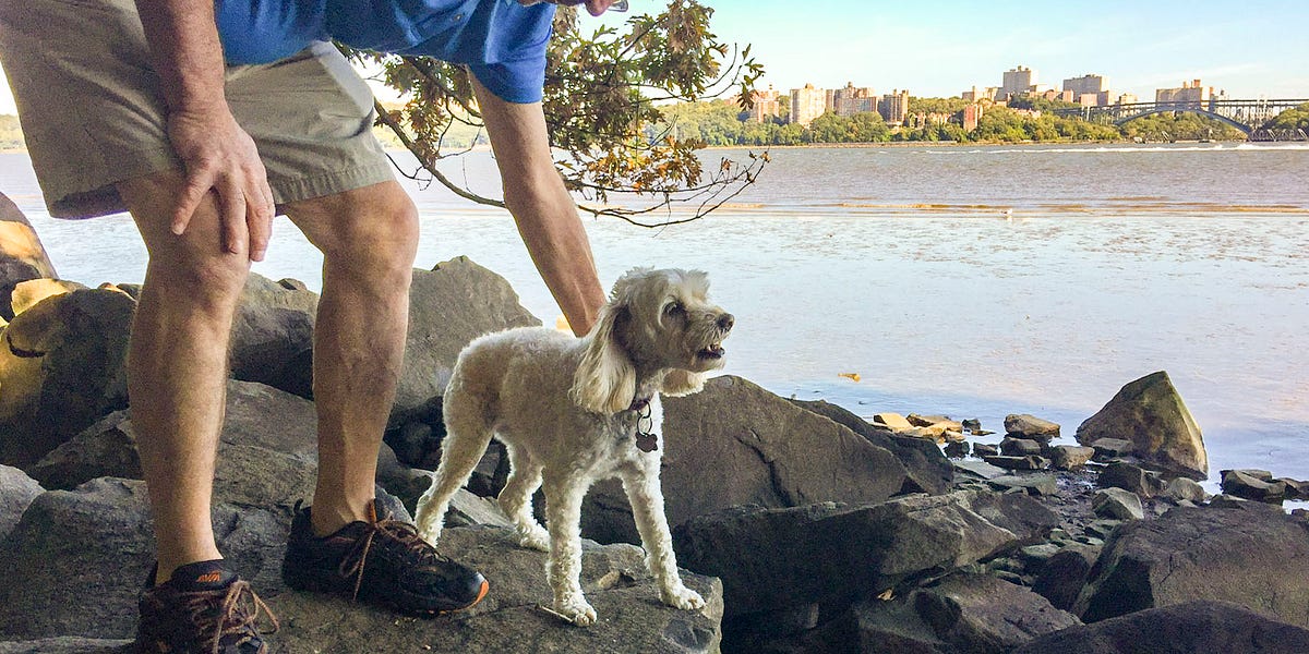 Penny vs. The Bear - by Clifford Blackman