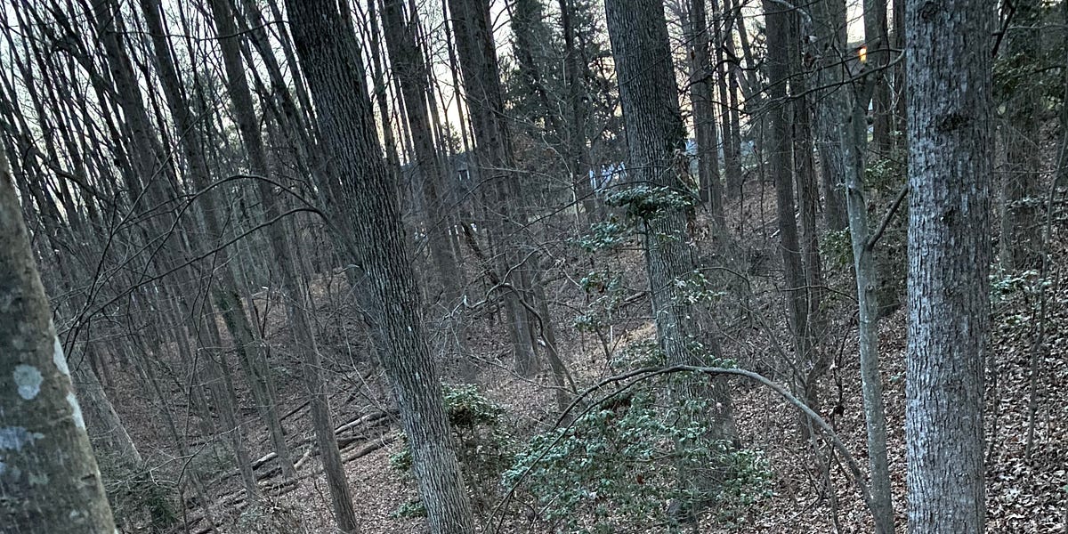 Honor Among Teens #4 - Tim Plaehn's Substack