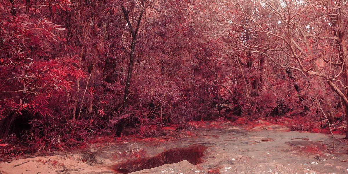 Waterfalls. - by Richie_veiwfinder. - Richie’s Substack