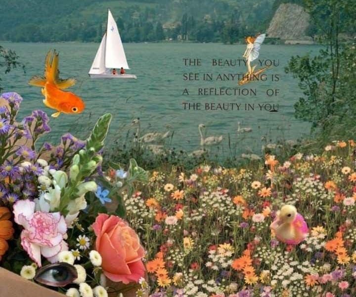 No Mud No Lotus - Gigi’s Substack