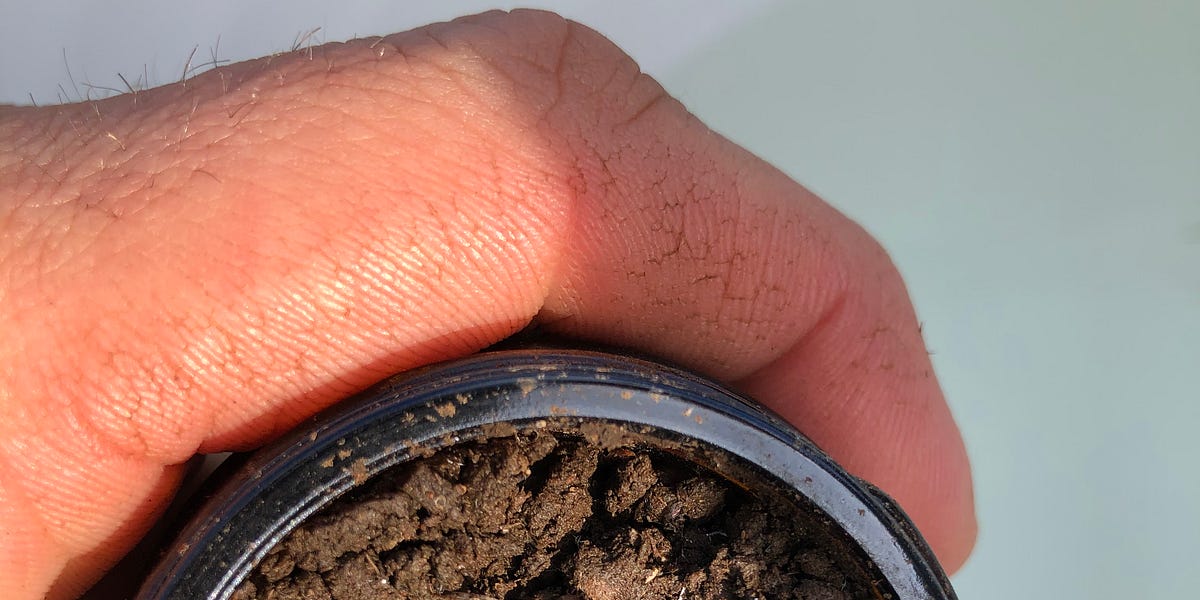 Summer Solstice Biodynamic Horn Manure Offering