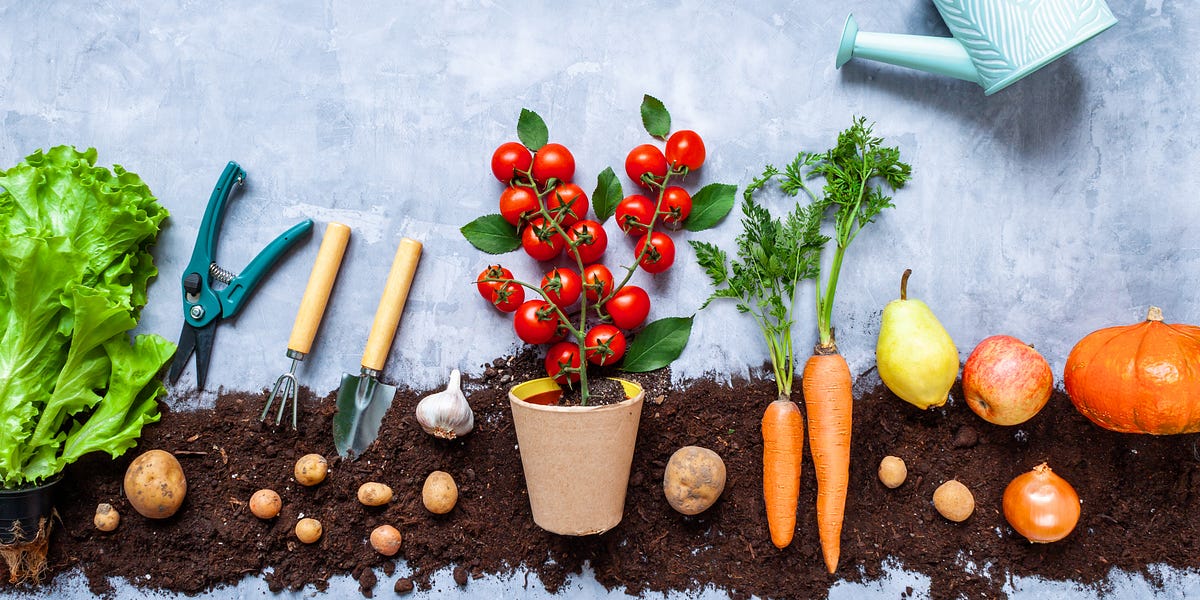 Can urban agriculture play a role in food security for First Nations ...