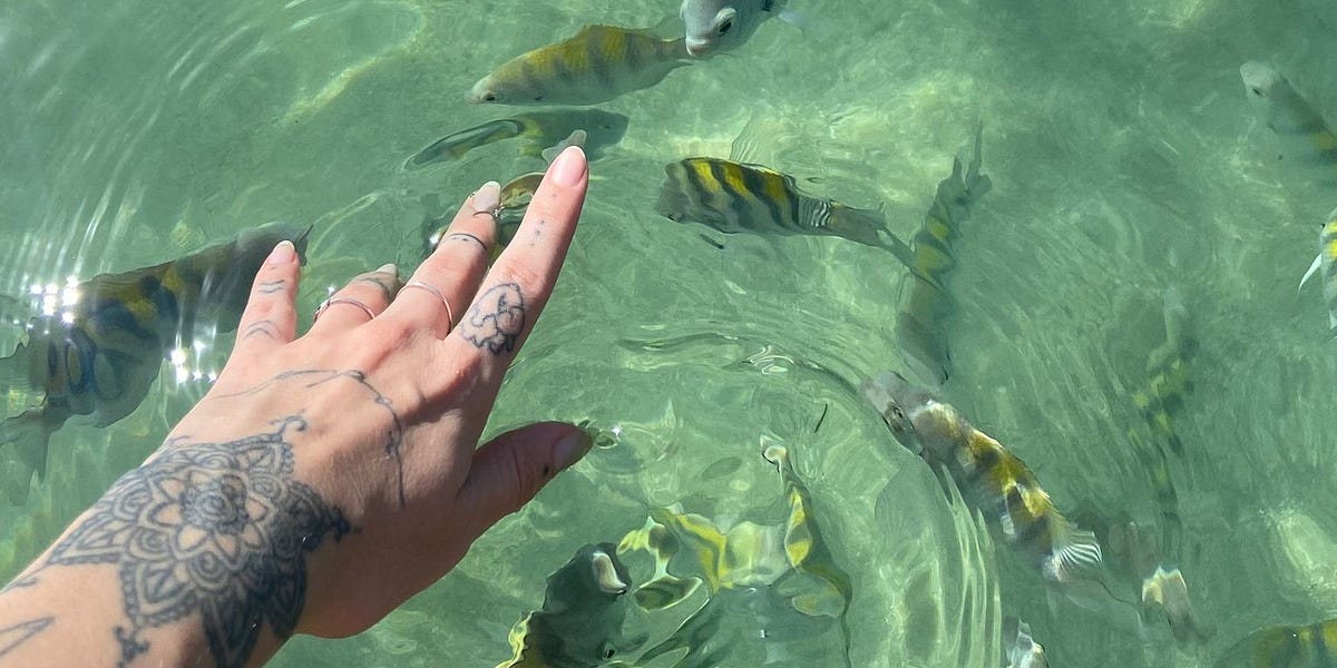 recalculando as rotas - Clariana Leal