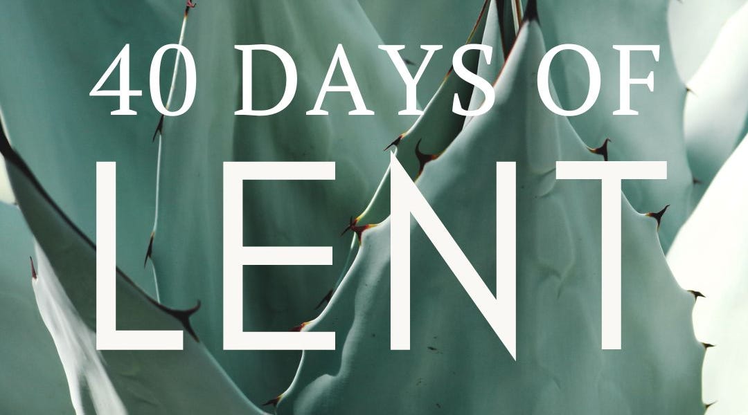 Lenten Reflection | Day 8 - by Grace Long Beach
