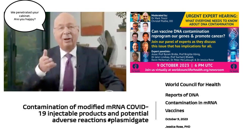 My slide deck for the Expert Hearing on Reports of DNA Contamination in ...