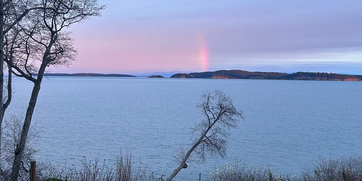 Undaunted Joy #86 - by Shemaiah Gonzalez - Undaunted Joy