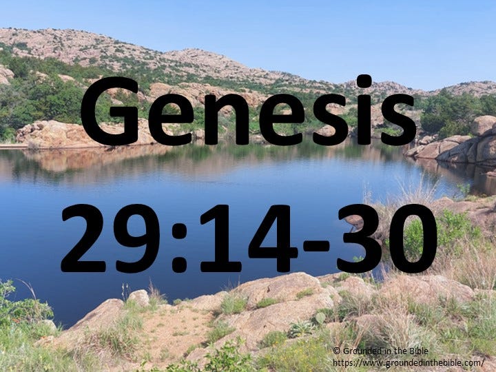 Genesis 29:14-30: Jacob and His Wives - by Karen Hoffman