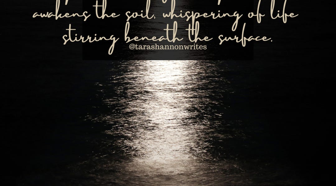 The Moon Rises - by Tara Shannon - Tara’s Substack
