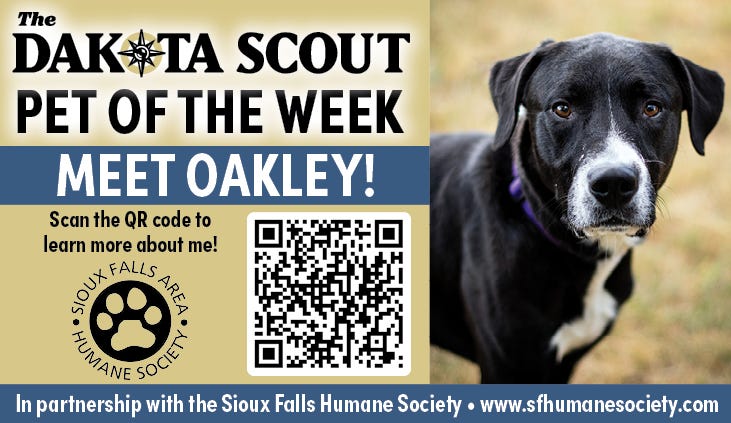 Oakley: The Dakota Scout Pet of the Week