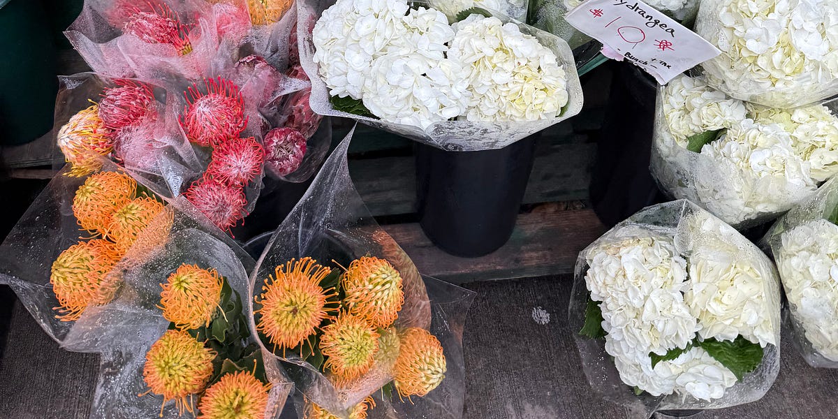 nyc - by Laura Beacham - THE CONSULT CLUB