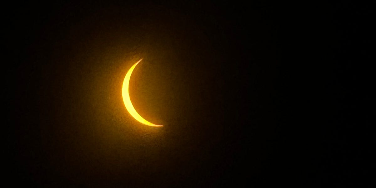 molting no. 2 – april 2024 - by Kristen L Goldberg