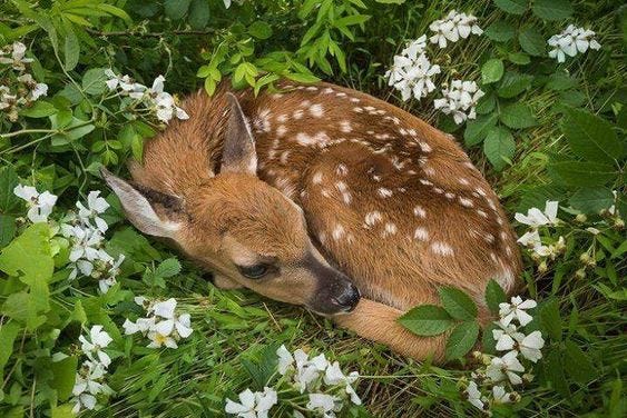 Pavement - by Mary Rose Reynolds - Mary’s Substack