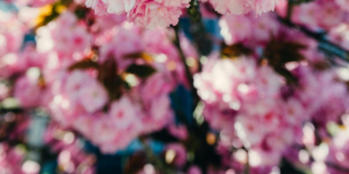 May 2025 Diversity Calendar Kit Distribution