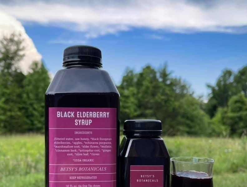 Black European Elderberry - by Betsy Ball Clark