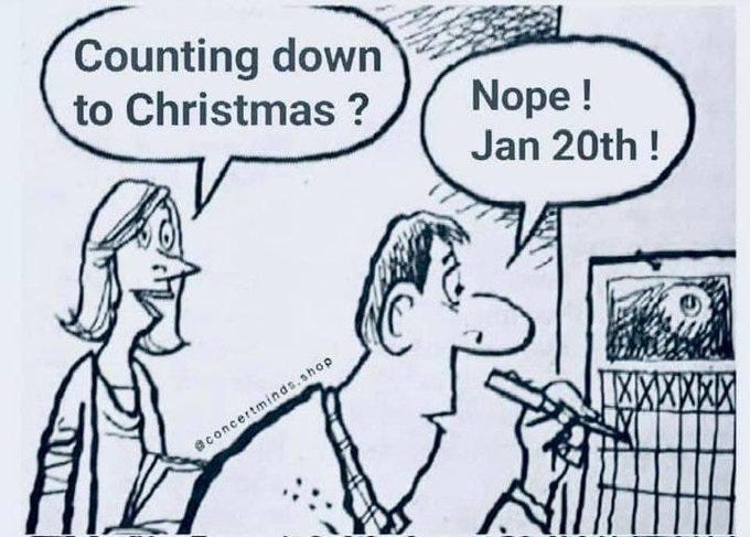 Comments - 22 November 2024 - by Celia M Paddock