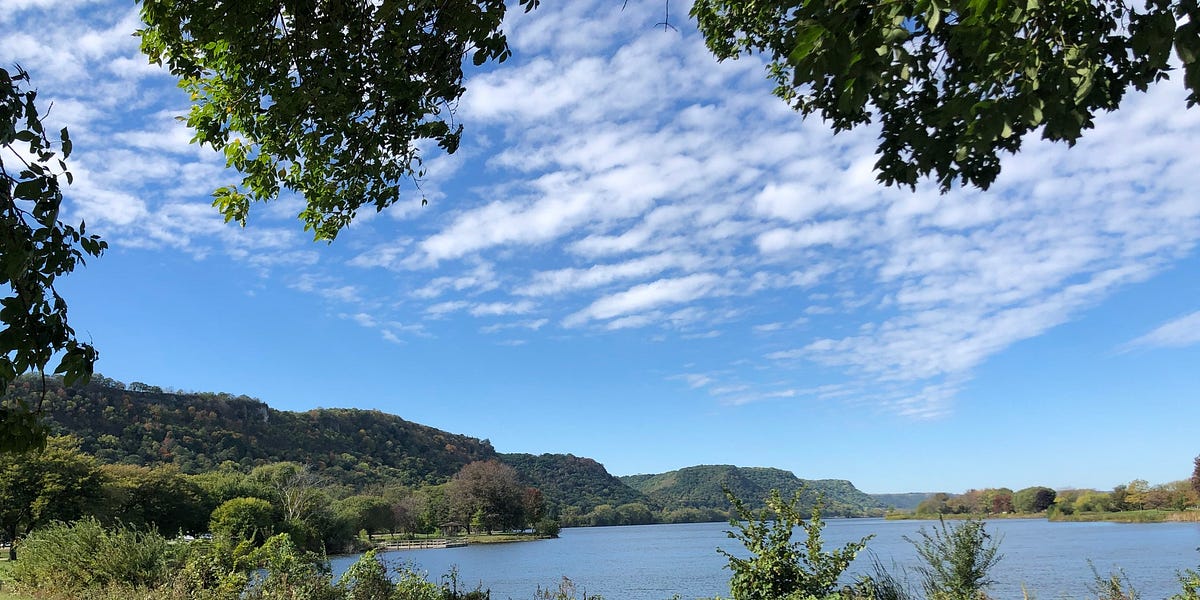 Searching for Home - by Janet Hulstrand