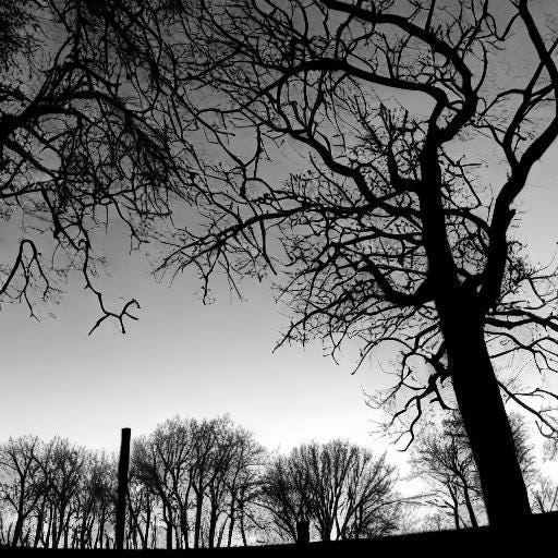 Why are we afraid of shadows? - by Afton P. Wilder