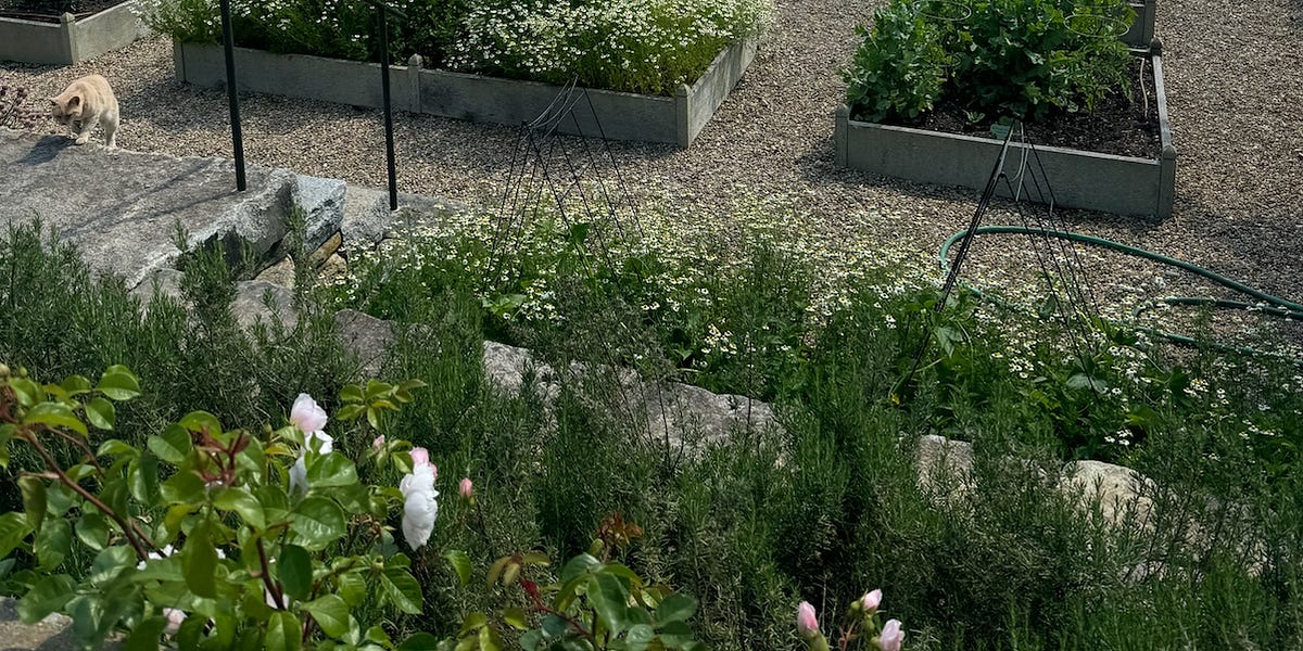 🪣 MVacay's Summer 2024 Bucket List - Activities To Do on Martha's Vineyard