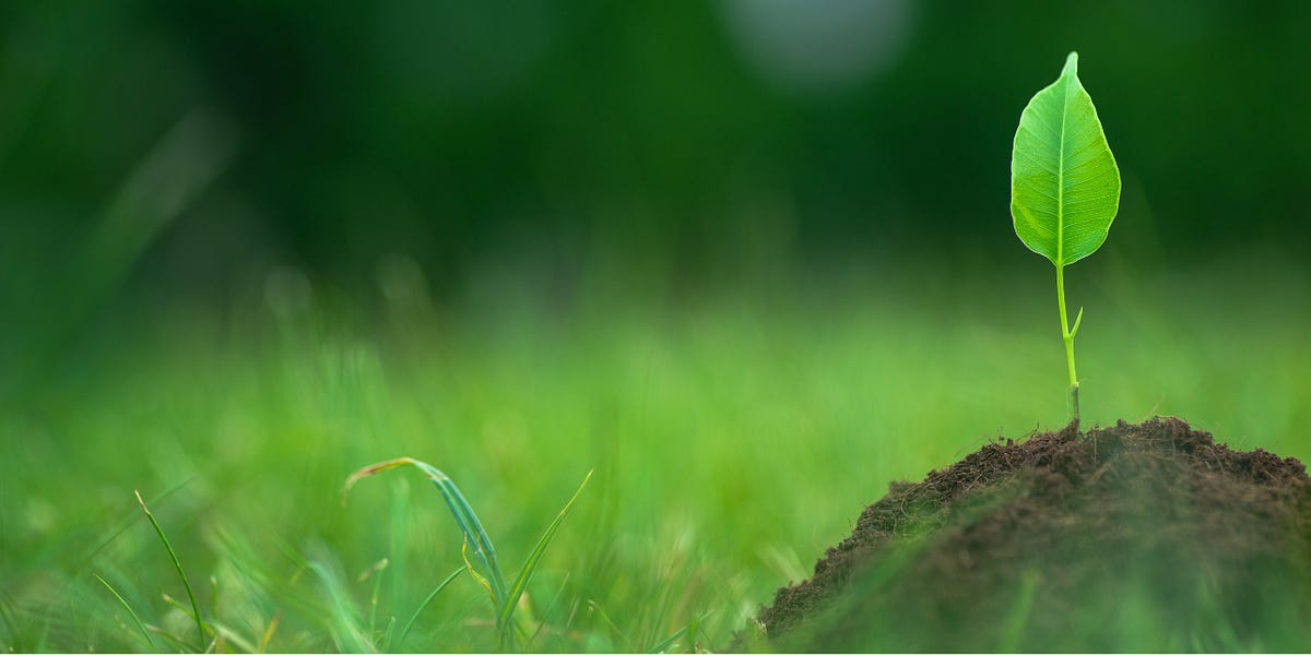 How to Grow on Medium (Even If You're Starting From Zero)