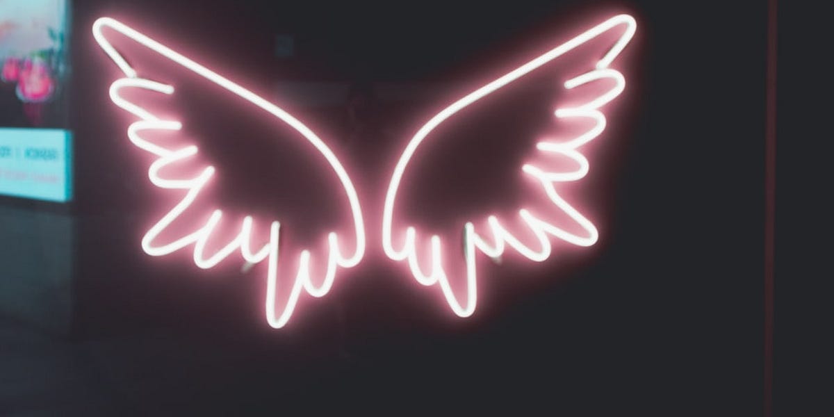 The Evolution of Angel Investing - by Bernardt Vogel