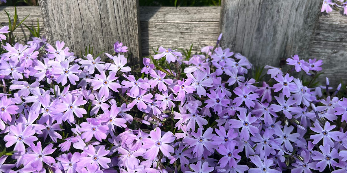 Why bother - by Mary Krawczyk - In Between