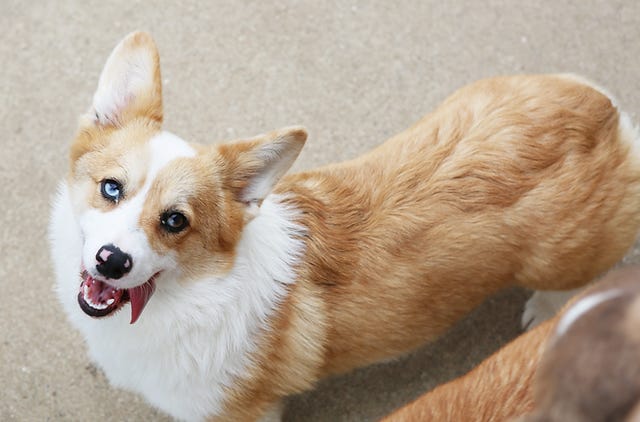 Happy National Flannel Day To All Who Celebrate Or Whatever