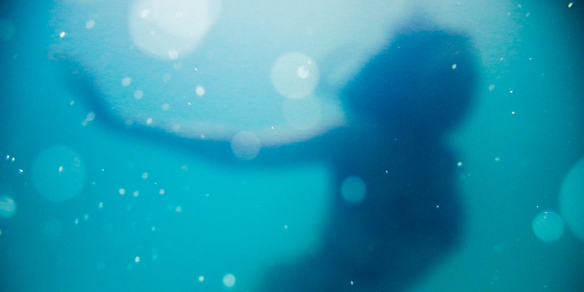 Writing Raylene - by Charlotte Hamrick - The Hidden Hour