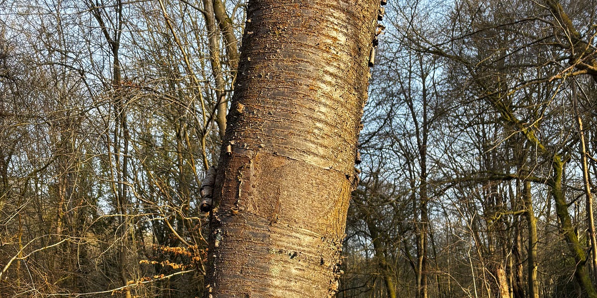 How Not to Write Your First Novel - by James Winestock