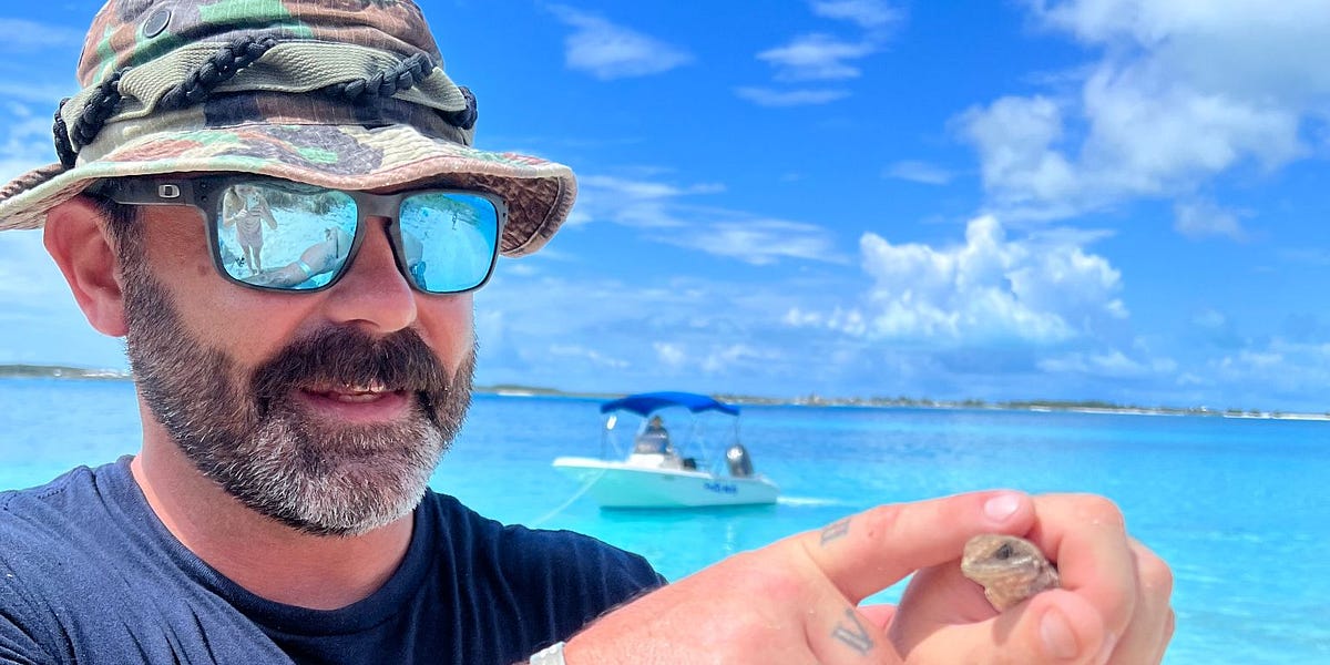 The Energy Dispatch, Part Two ⚡ - by Cadence Bambenek