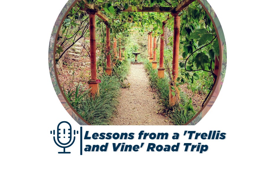 Lessons from a 'Trellis and Vine' road trip