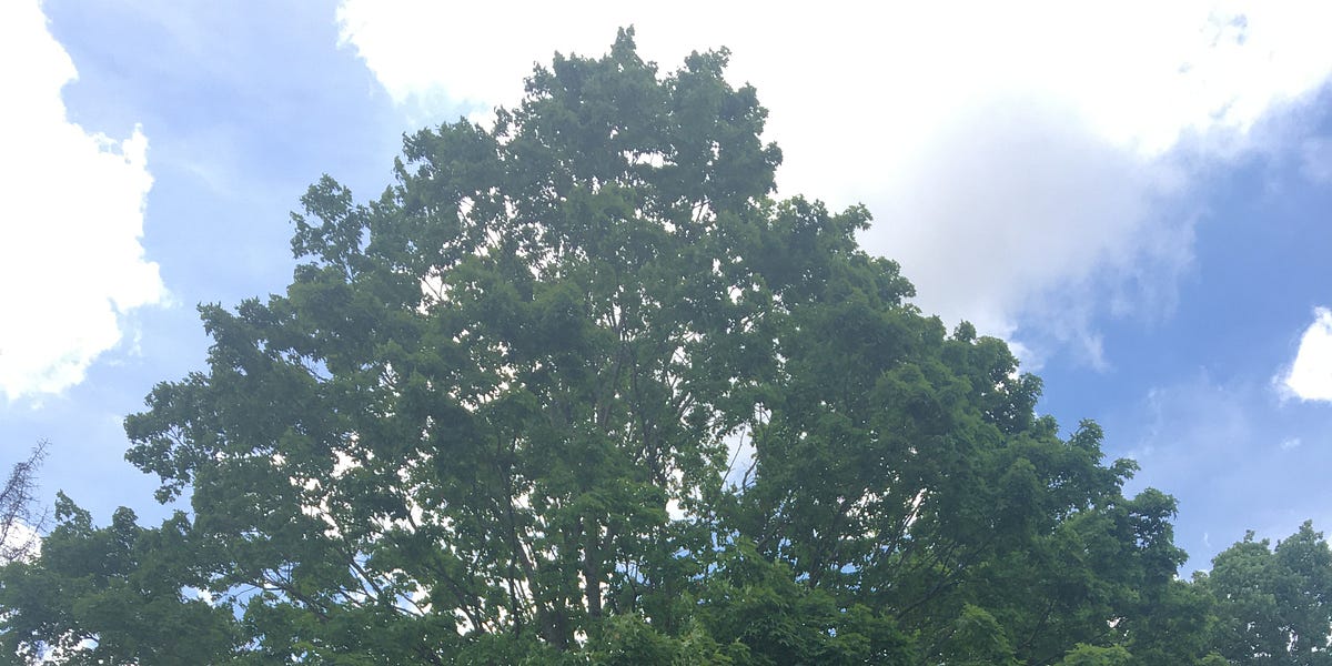 This Weekend Participate in the True Meaning of Life