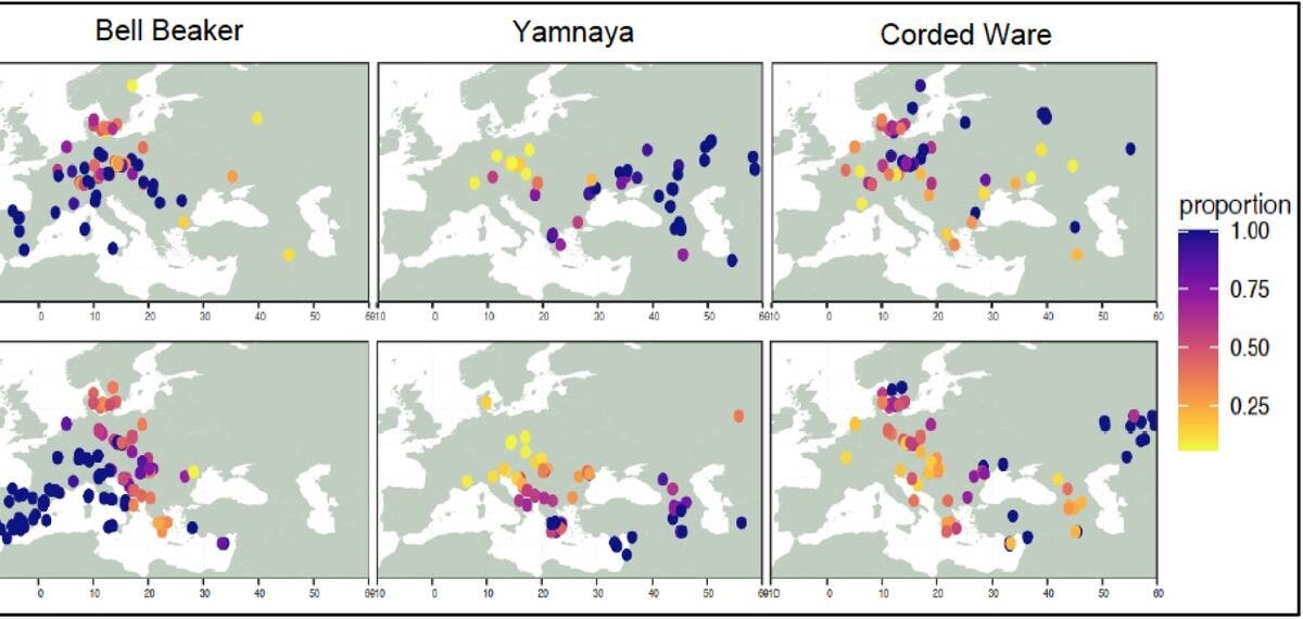 Ancient DNA Reveals Genetic and Linguistic Divides in the Bronze Age ...