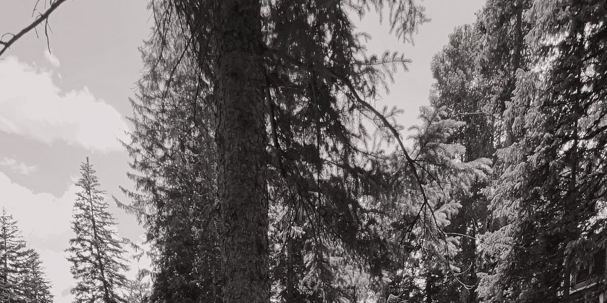 Recomendación dominical - by Marguga - Coffuelled Letters