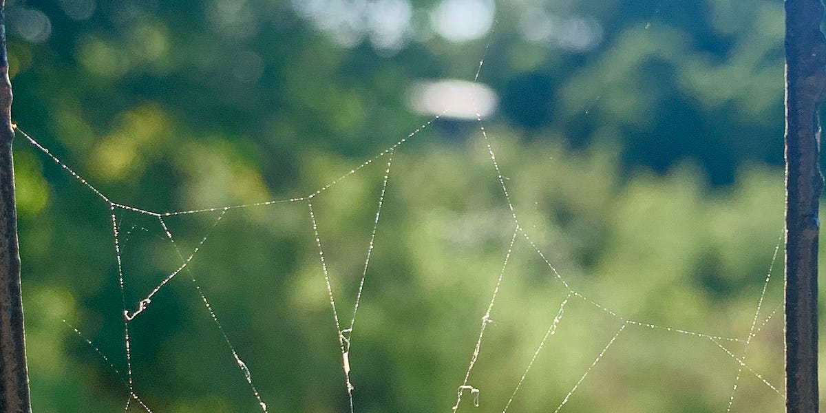 A Dance of Magnitude - by Lila Danielle - I Am The Dance