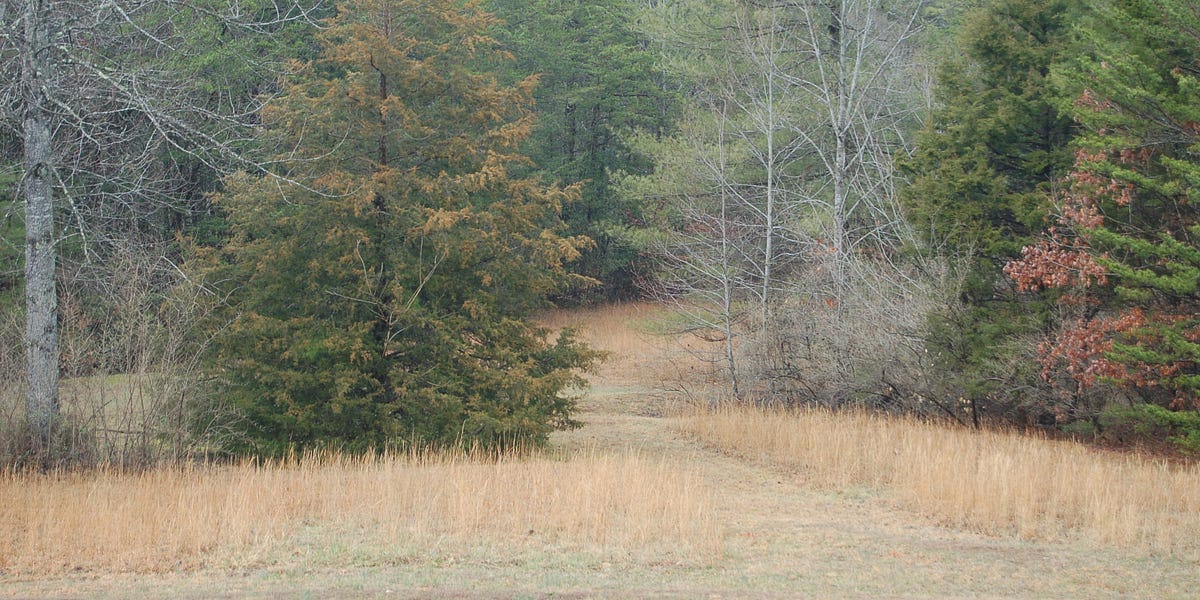 Nothing To Do - by John Taylor Pullen