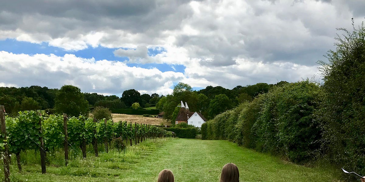 The best vineyards in England to visit - by Kerry Parnell