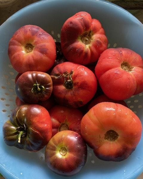 How We Fail: Framing the Problem to be Fixable with an Existing Solution