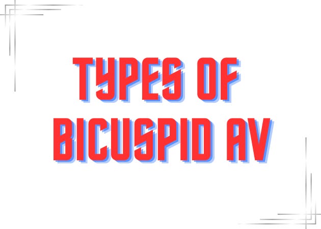 Types of Bicuspid Aortic Valve - by Aram K.