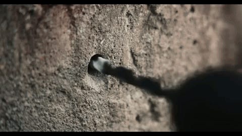 🪝 The Nexialist #0128 - by Rodrigo Turra - The Nexialist