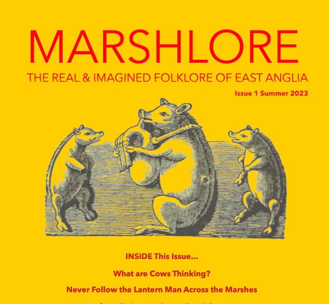 Norfolk Folklore Society November 2023 talk announcement