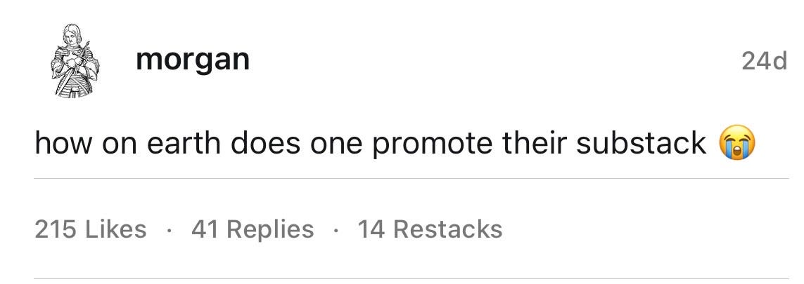 how to successfully grow your substack - sincerely, morgan