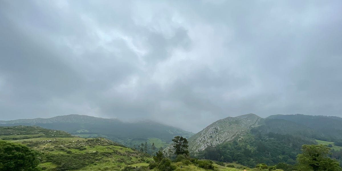 A long awaited Wild Finca update...