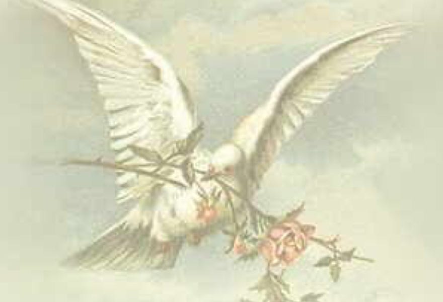 poetry on substack - by Nora L. Hartley - Diary of A Pariah